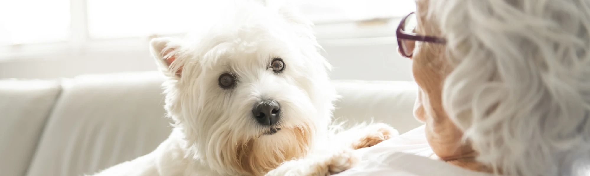 Assisted Living – La Conner Retirement Inn